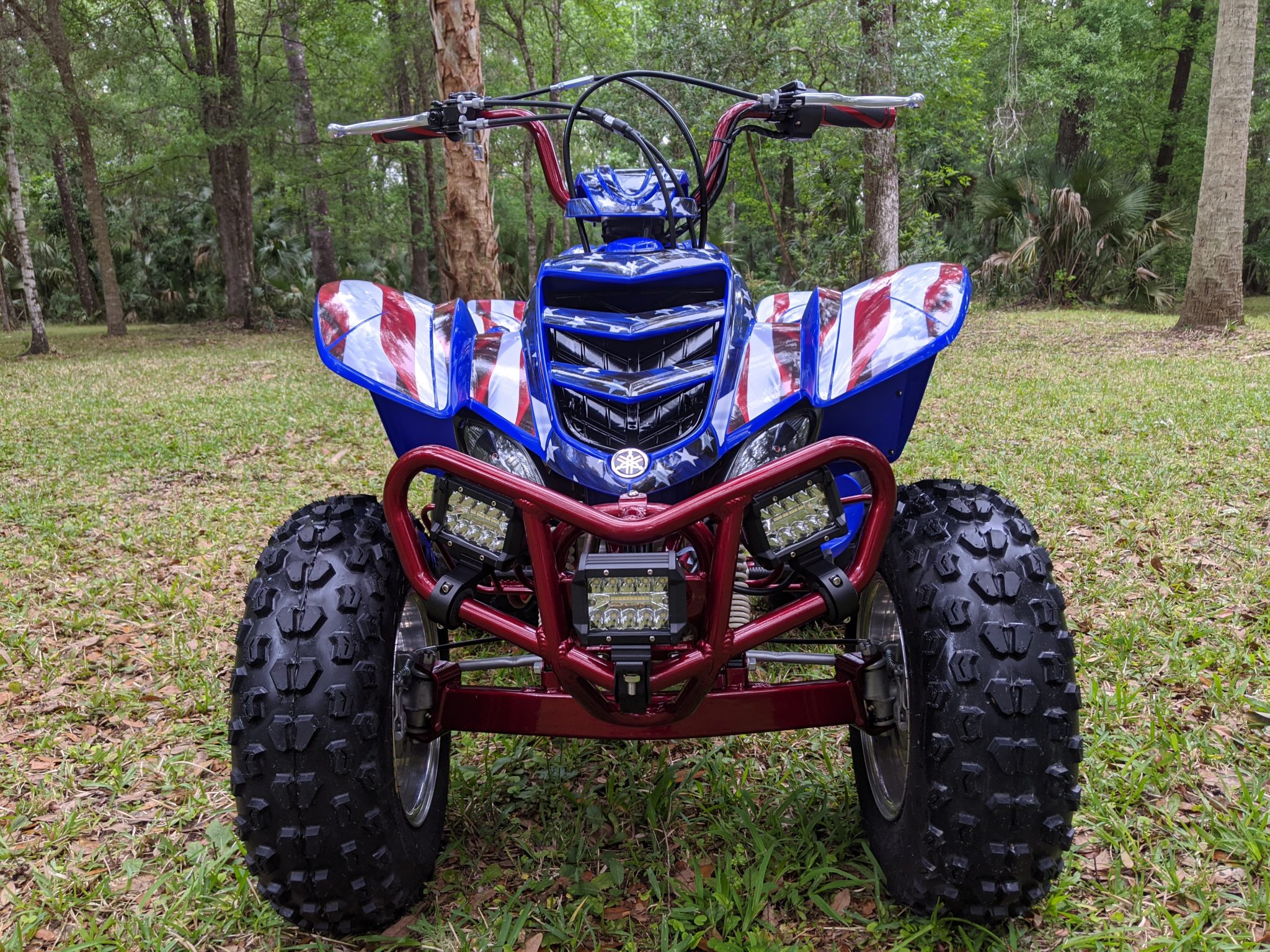 2003 Yamaha Raptor 80 Custom – Venom's